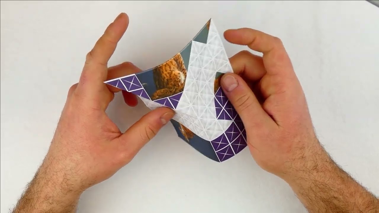 Foldology 2 - Solution #87