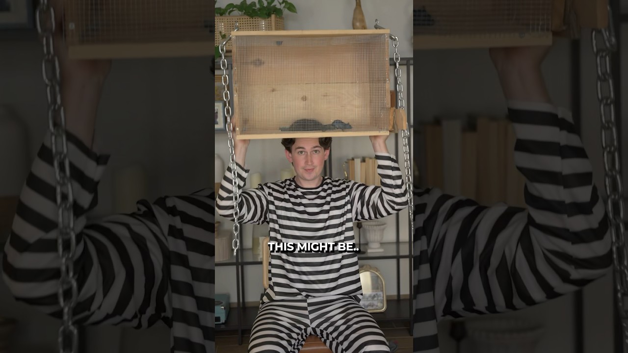 The Most Brutal Medieval Punishment 😭