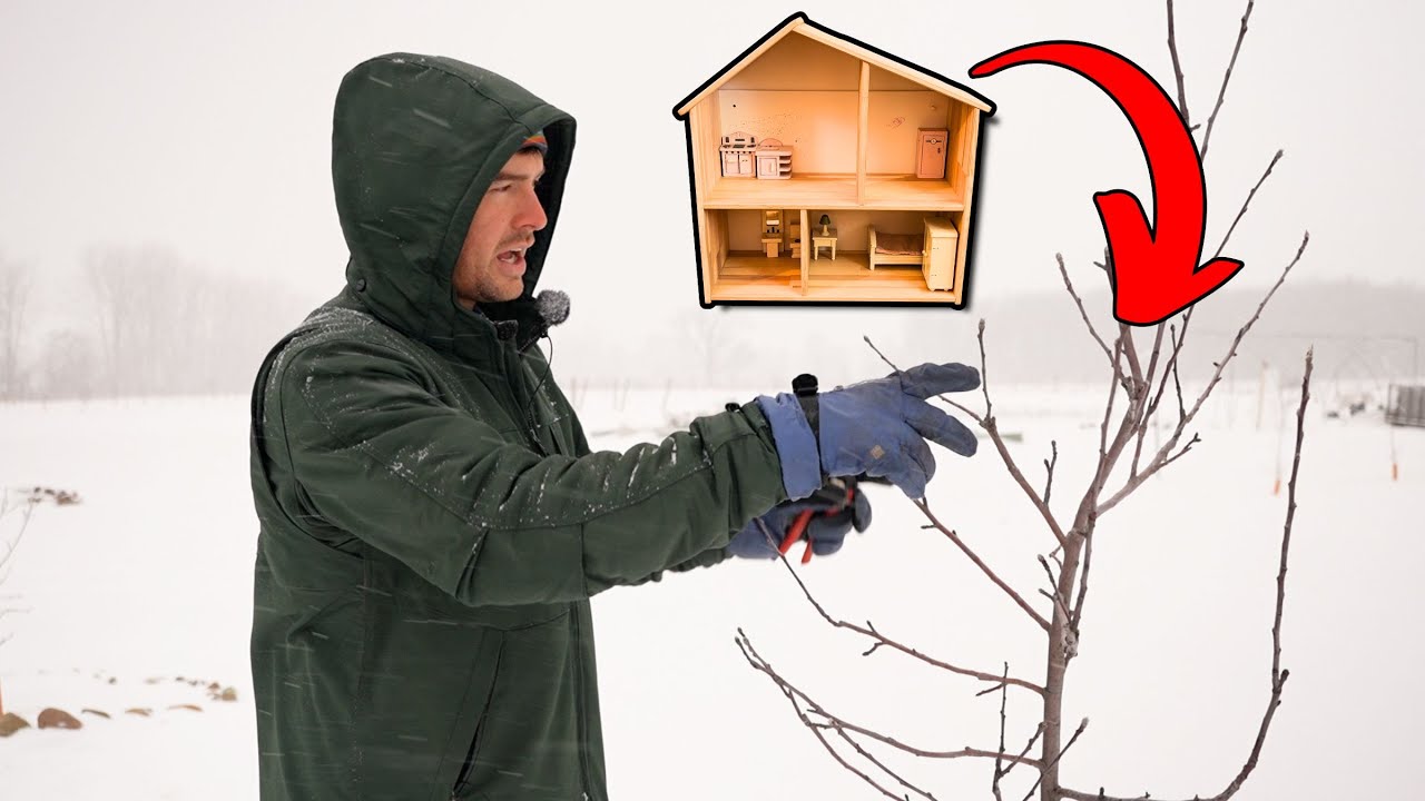 This Changed How I Prune Apple Trees for Good!