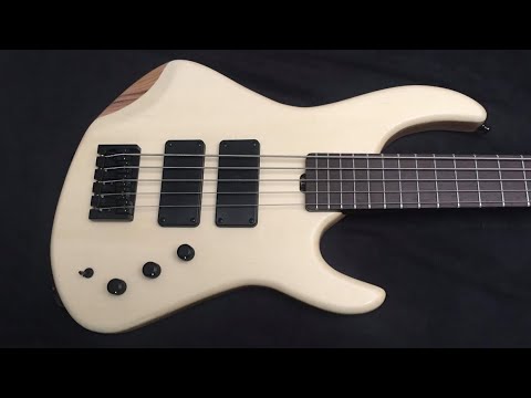 ACG RetroB Custom Bass - Holly | Reverb