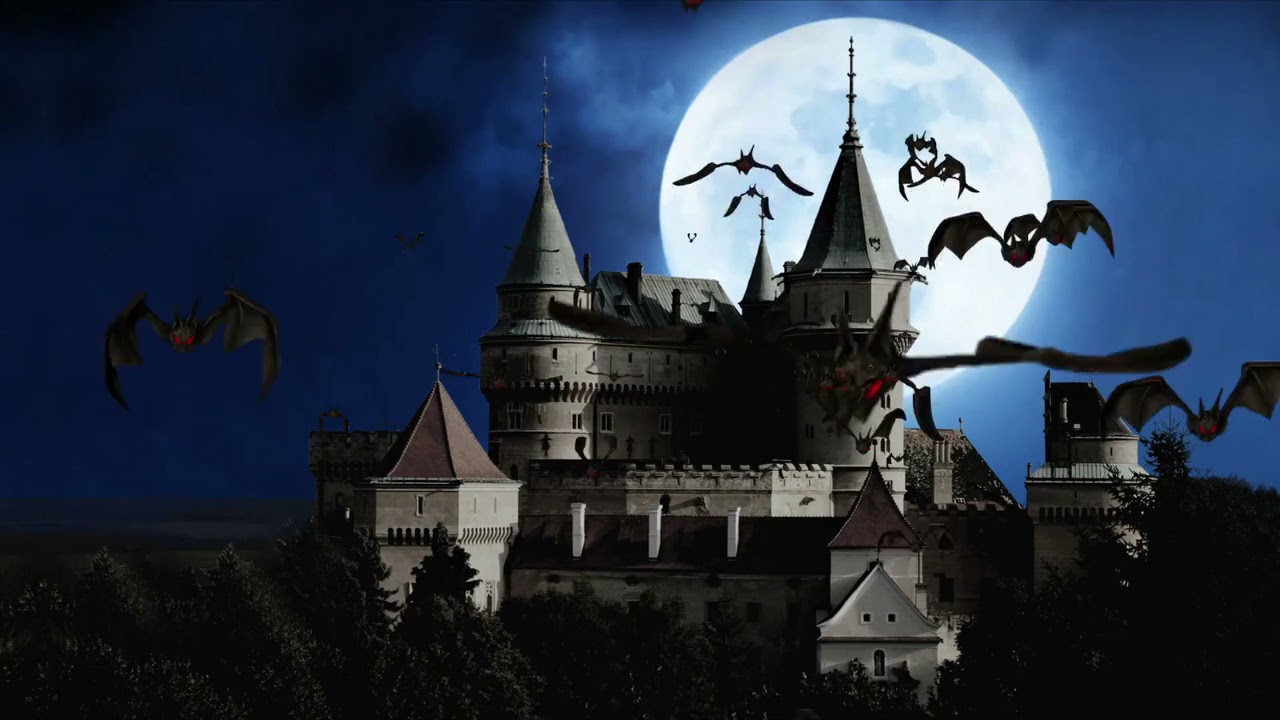 Castle Free Background Video