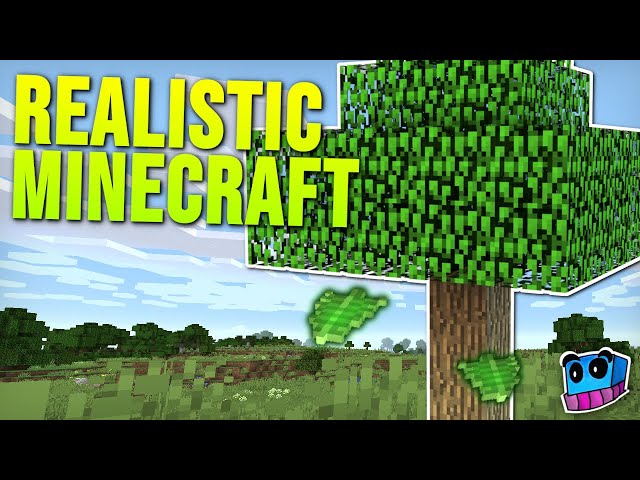 Realistic Minecraft with one command! | Realistic Mechanics Command ...