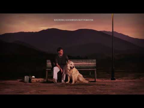 The Demi-Wolf and The Tribrid - Salvatore: The Musical! - Wattpad