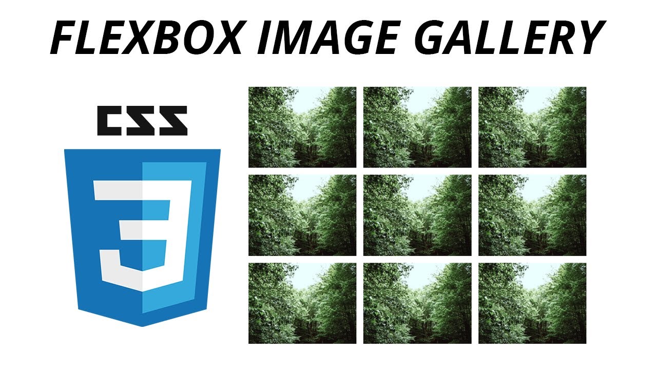 Flexbox Images Responsive Grid Gallery Tutorial