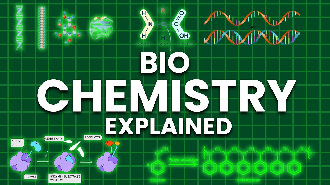 All of BIOCHEMISTRY Explained in 11 Minutes