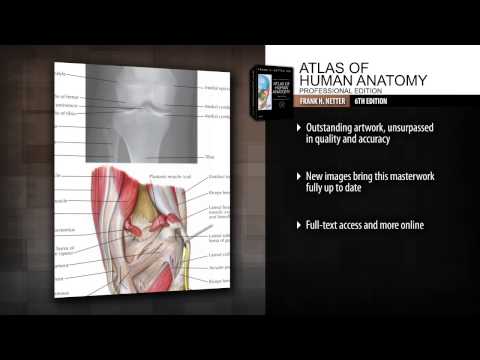 Atlas of Human Anatomy, Professional Edition, 6th Edition