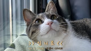【이알X모아】 선우정아 - 고양이 (Feat. IU) - 인스티즈(instiz) 회원노래 카테고리