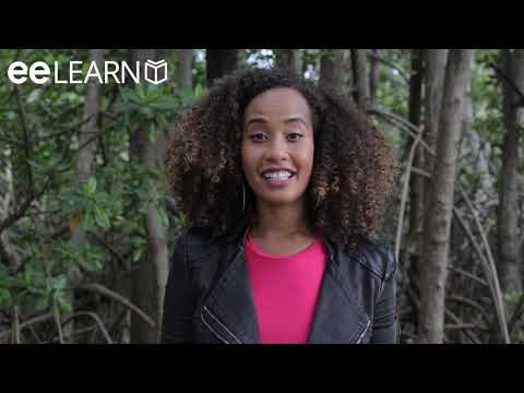 eeLEARN: Equitable and Inclusive EE- Congratulations!