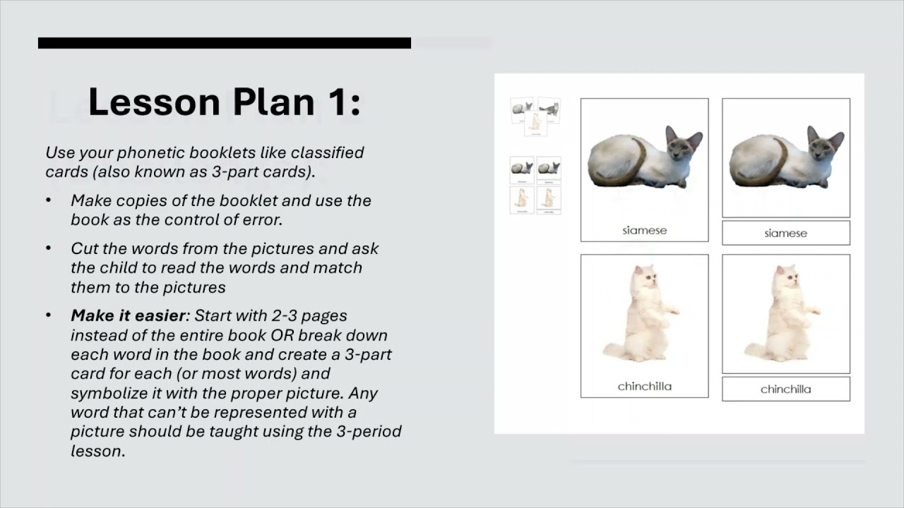 Reading vs Memorization: Lesson Plans to Extend The Life of Your Phonetic/Bob Books