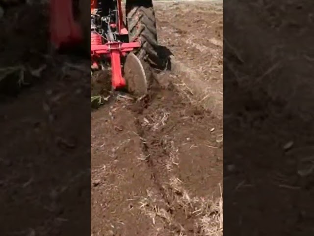 Sugarcane Stubble Shaver Machine - Sugarcane Stubble Shaver Kit Trader ...