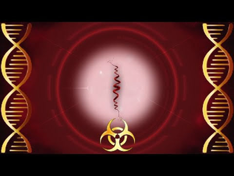 Steam Community :: Video :: Prion Mega Brutal Plague Inc