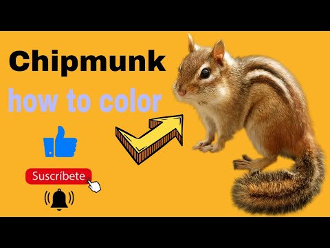 How to color a chipmunk🐿 🐿