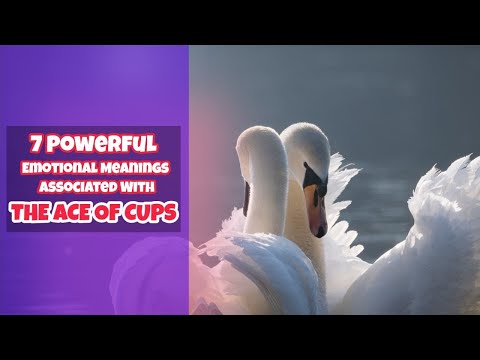 Ace of Cups Tarot Card 7 Powerful Emotional Interpretations