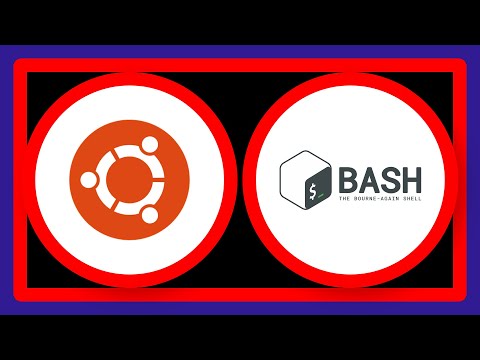 'No such file or directory' error in bash, but the file exists?