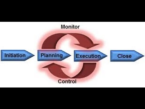Project Executing, Monitoring, and Controlling Processes: how to ...