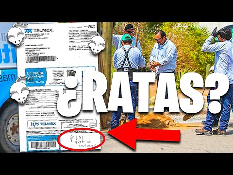 🤔¿TELMEX TE ROBA? *TEST DE VELOCIDAD CON FIBRA ÓPTICA* ¿COMO CONTRATAR FIBRA ÓPTICA TELMEX?