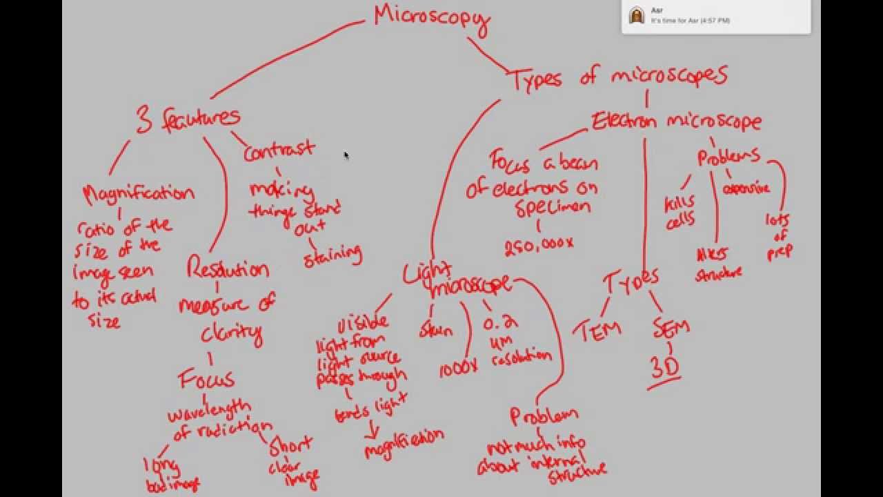 Cell Structure - Microscopy | BIALIGY.com