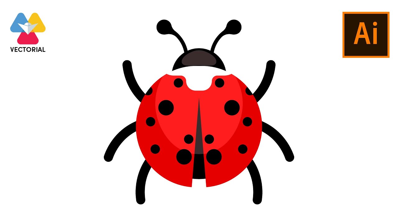 Ladybug vector tutorial in adobe illustrator