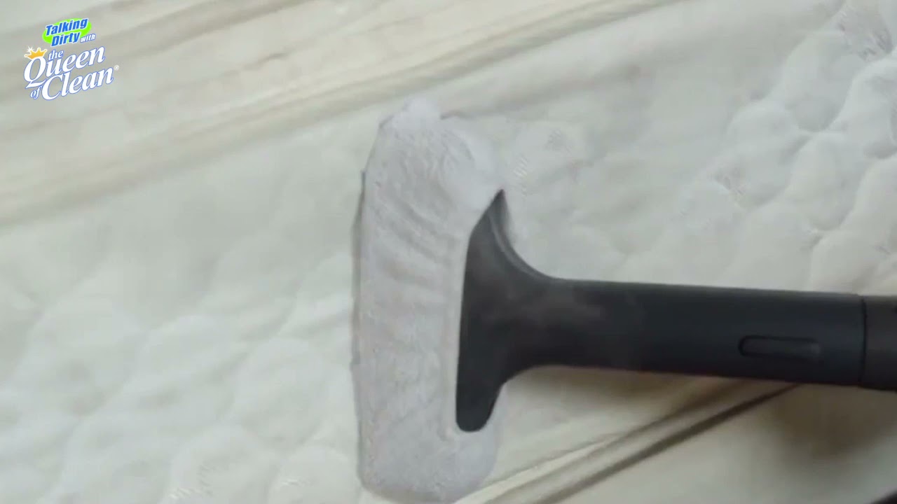 BEST STEAM CLEANER - HOW TO KILL BED BUGS and more - Vapamore® MR-100