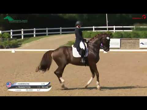 Codi Harrison & Katholt's Bossco | FEI Grand Prix Special Test | U.S. Dressage Festival of Champions