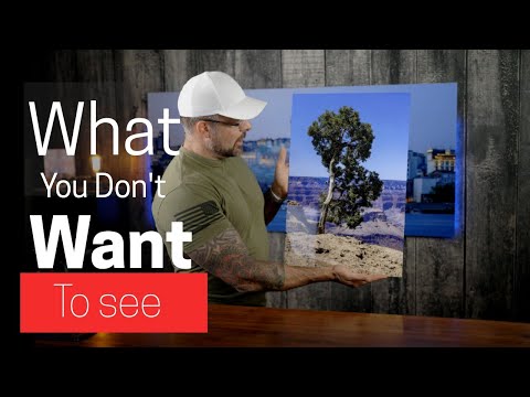 Best metal print SHOOTOUT 2021: CostCo Metal Print Review