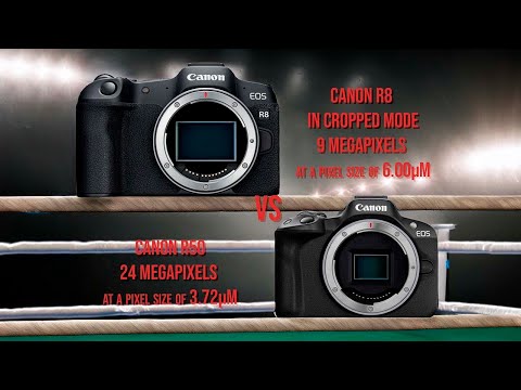 Canon R8 (cropped mode) vs R50 (5803C003)
