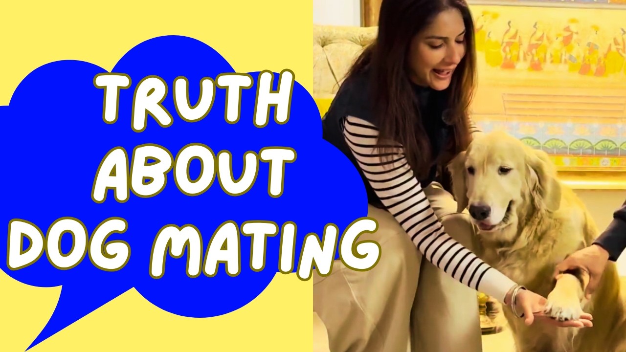 Don’t Breed Your Pet Dog Until You Watch This | Expert Reveals Shocking Truth