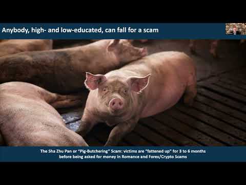 Scam Alert! How to Avoid Online Scams and Fraud