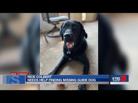Owner Speaks about Missing Guide Dog