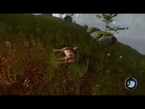 Steam Community :: Video :: Everywhere at the end of The Forest - I1 ...