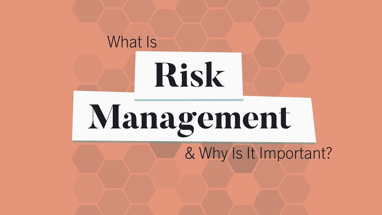 What Is Risk Management & Why Is It Important? | Business: Explained