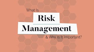 What Is Risk Management & Why Is It Important? | Business: Explained