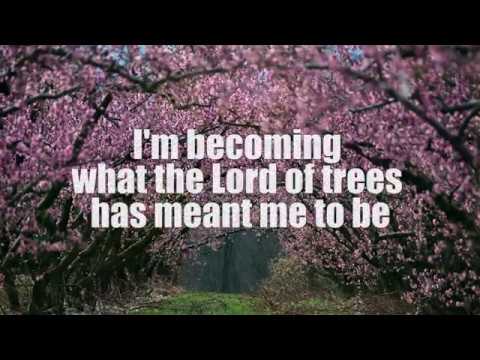 Tree Song Lyrics - Evie