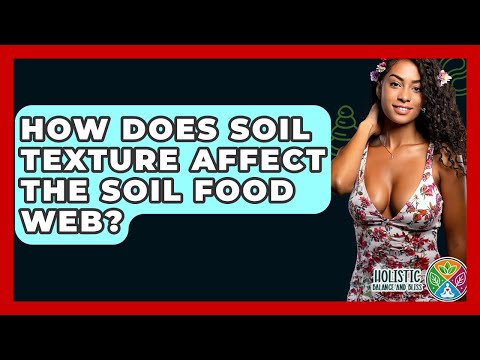 How Does Soil Texture Affect The Soil Food Web? - Holistic Balance And Bliss