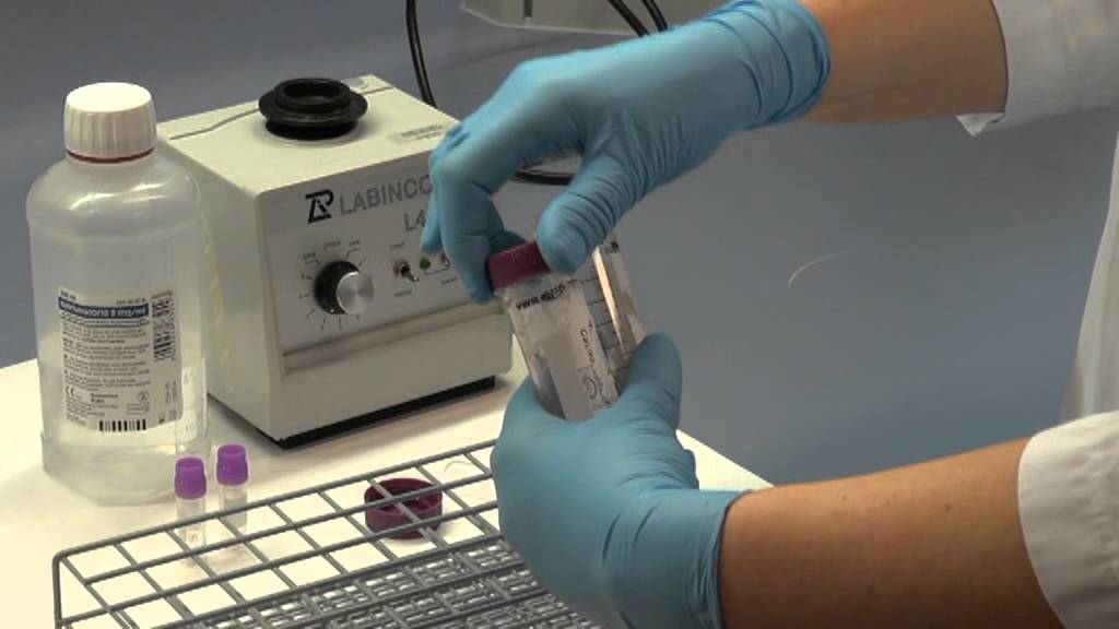 SOP Sample Processing and Storage