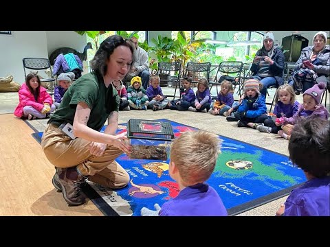 Sensory exploration at the zoo - School News Network | A Window into ...