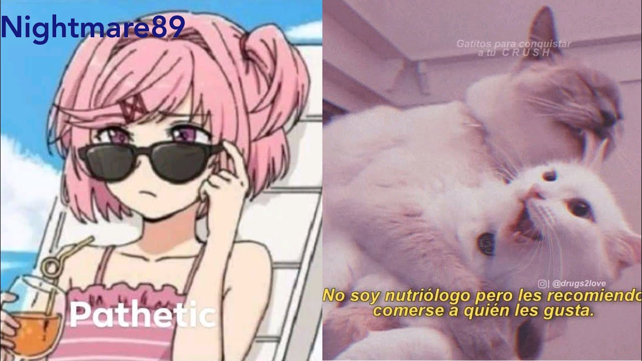 VIDEOS RANDOM #29| VIDEOS DE RISA| MEMES COMPILATION | SI TE RIES PIERDES | SHITPOST |