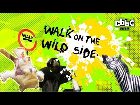 CBBC: Walk on The Wild Side - Maurice The Miserable Fish