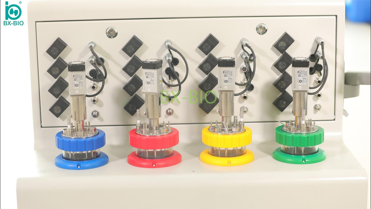BXBIO Lab multi Parallel Mini Bioreactor