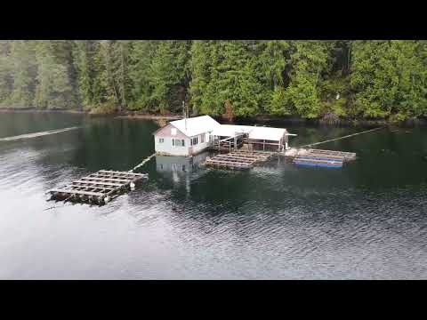 Shikat Bay Oyster Farm, SE Alaska