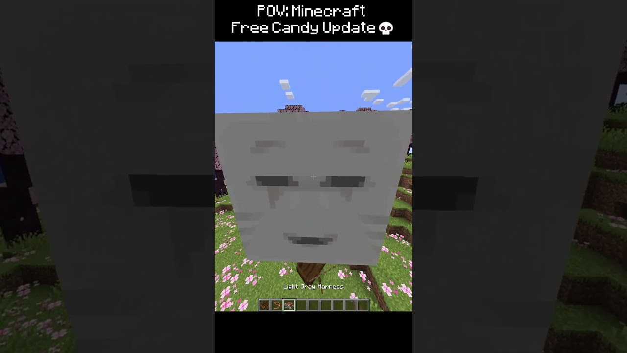 POV: Minecraft Free Candy Update💀