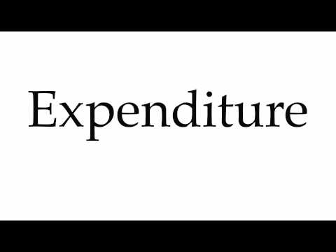 How to Pronounce Expenditure