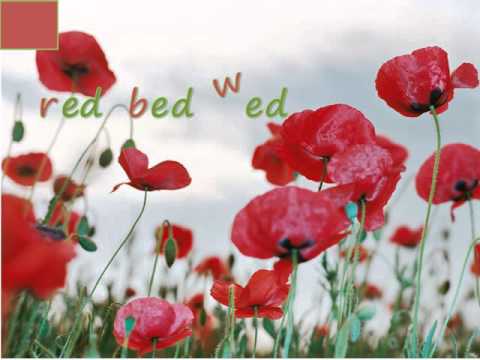 3 letter Spelling words ending with "ed" - part 1