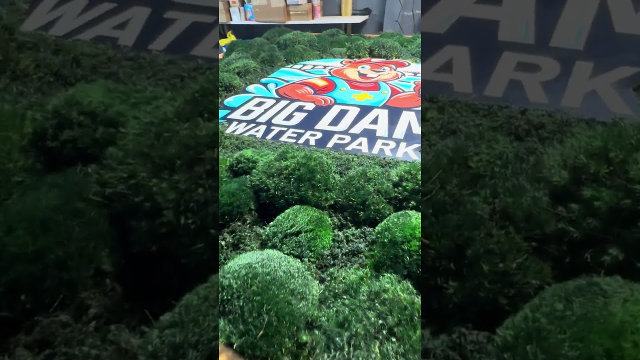 The Science Behind Making a Moss Pure Living Moss Wall