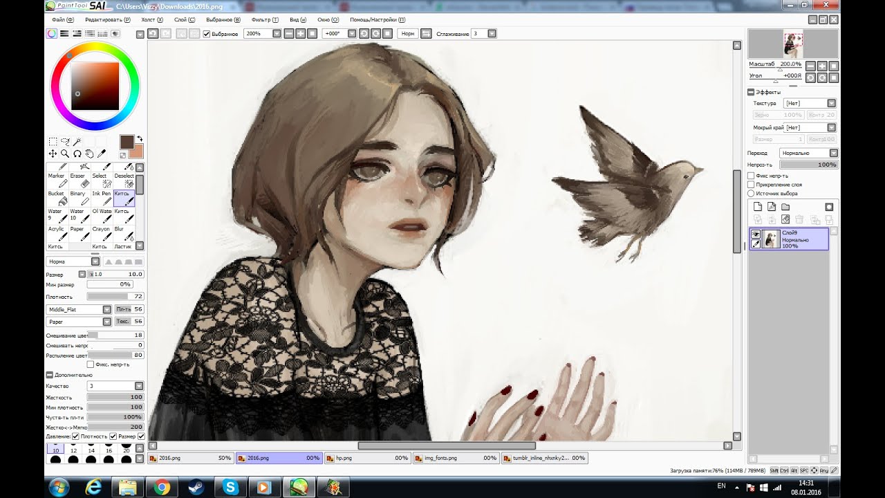 Paint Tool SAI - Speedpaint [Bird]