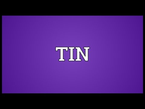 TIN Meaning