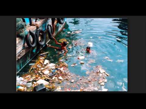 Water Pollution Pic Video us 458