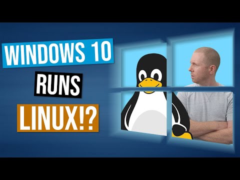 Windows 10 Can Run Linux!? | Windows Subsystem for Linux