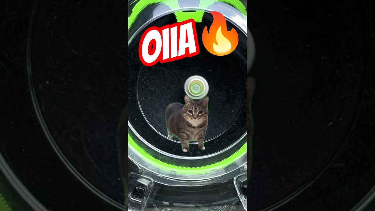 OIIA🔥#oiiaiiooiiai #cat #shorts #beybladex