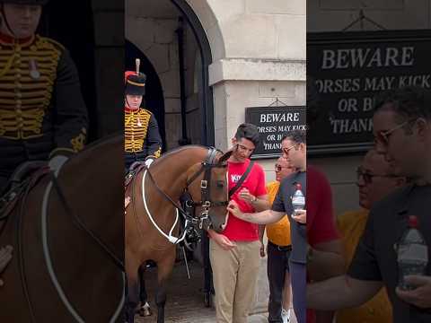 Horse Bites Tourist Hand | please Read NOTICE BOARD Behind you #kingsguard #horseguardsparade